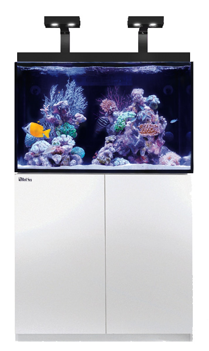Preisvergleich für Red Sea MAX E 260 LED Aquarium mit Unterschrank für ...
