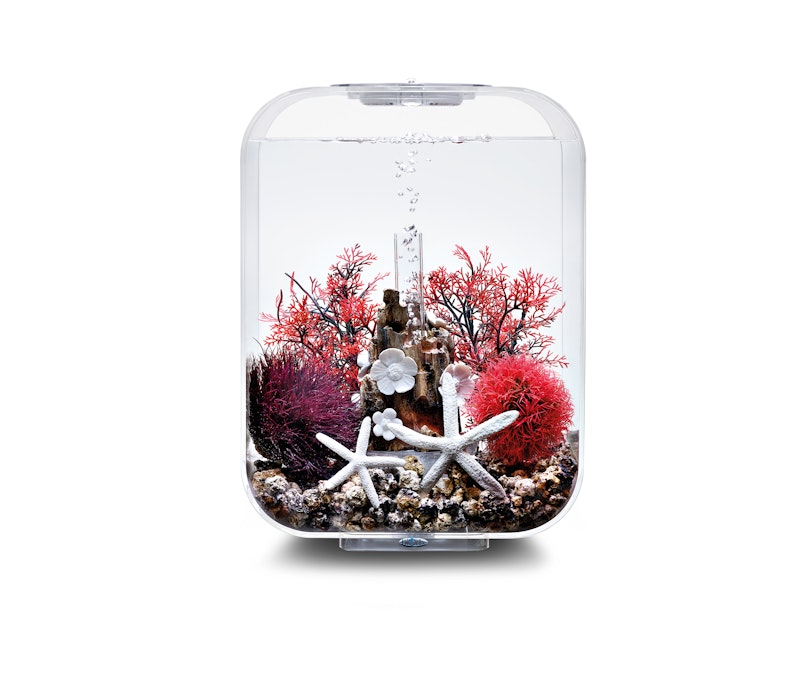 biOrb Decor Set 15L Red Forest (48442) online kaufen