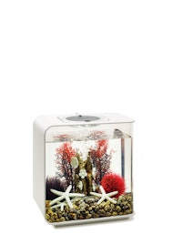 biOrb Decor Set 15L Red Forest (48442) online kaufen