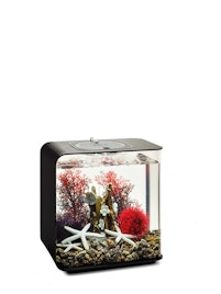 biOrb Decor Set 15L Red Forest (48442) online kaufen