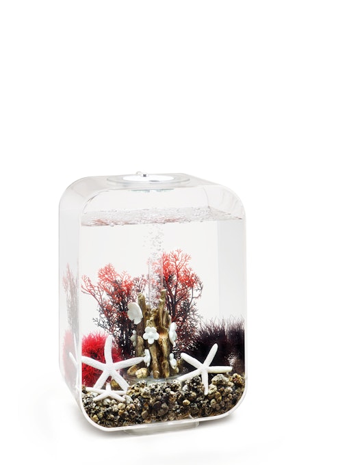 biOrb Decor Set 15L Red Forest (48442) online kaufen