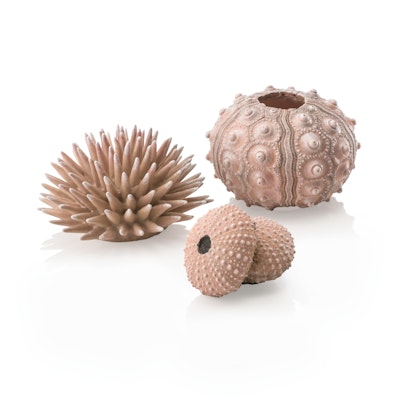 biOrb Seeigel Set natural (48366) online kaufen