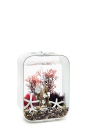 biOrb Decor Set 15L Red Forest (48442) online kaufen