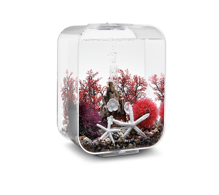 biOrb Decor Set 15L Red Forest (48442) online kaufen